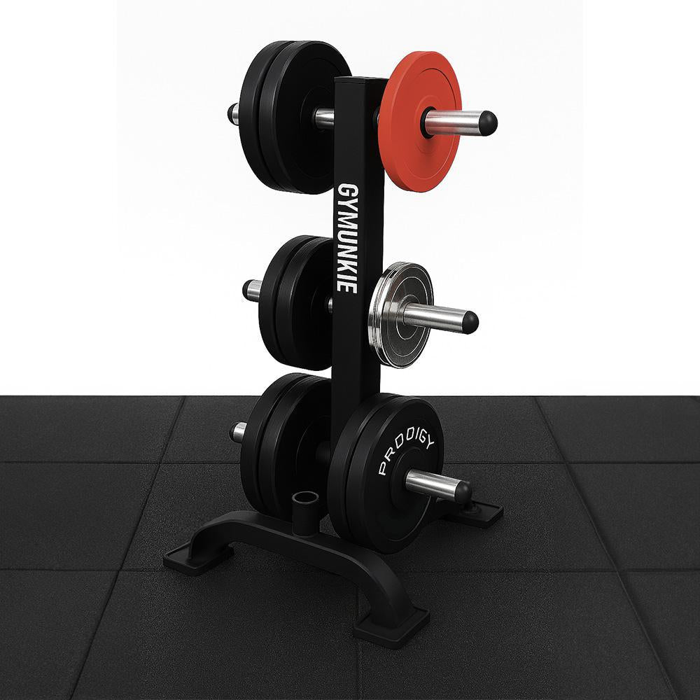 Vertical Weight Plate Rack