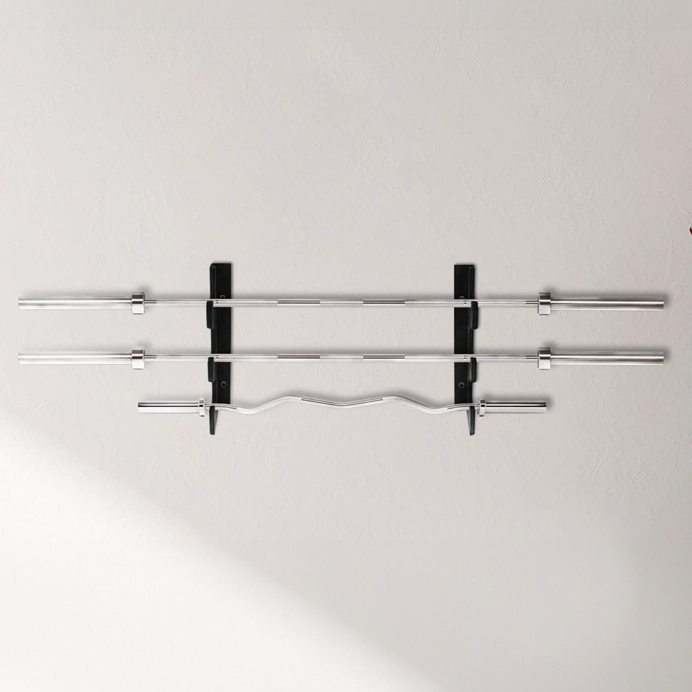 Wall Mounted Barbell Rack | Gym Junkie